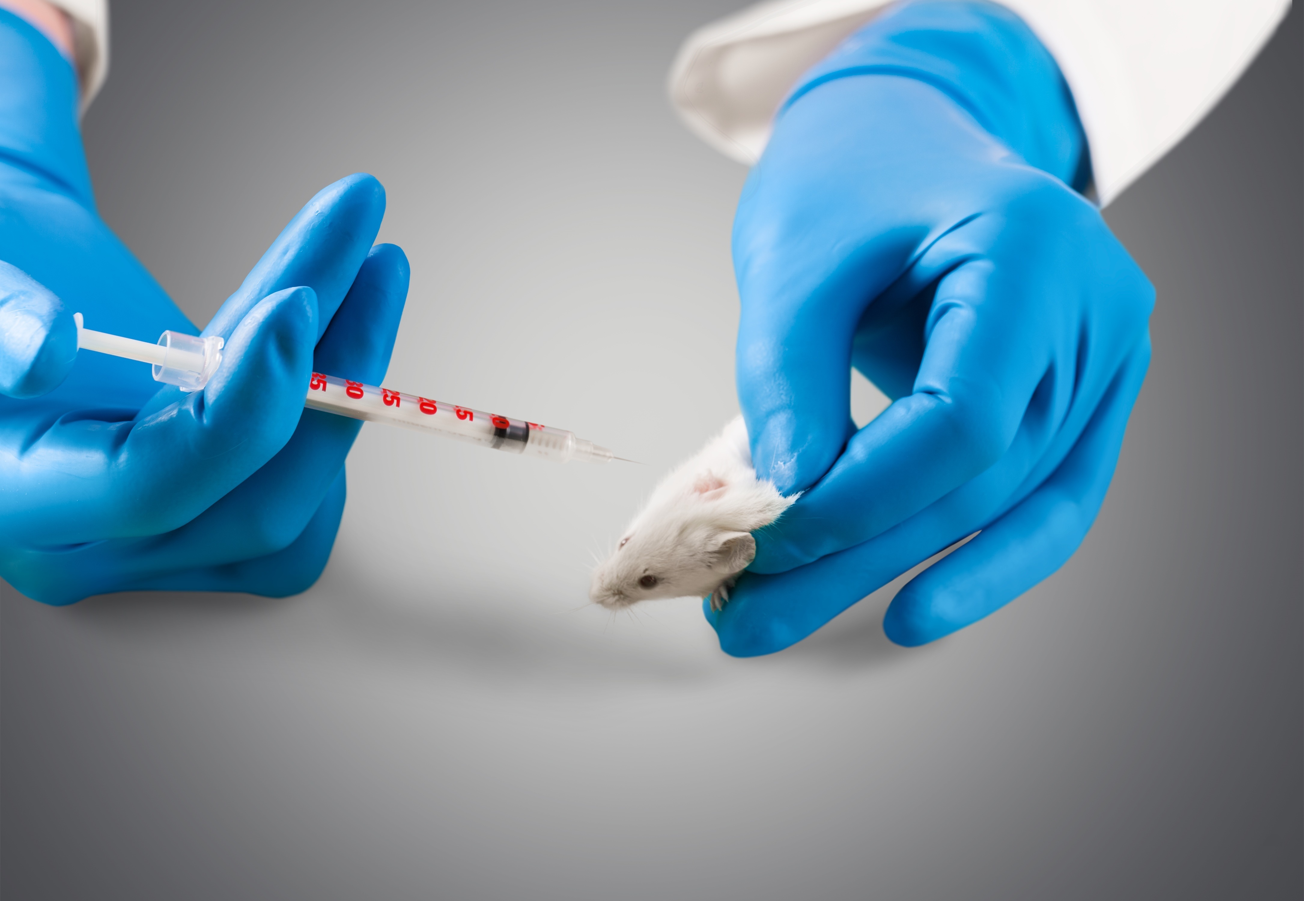 Rotterdam gaat dierproefvrij inkopen - AanbestedingsCafe